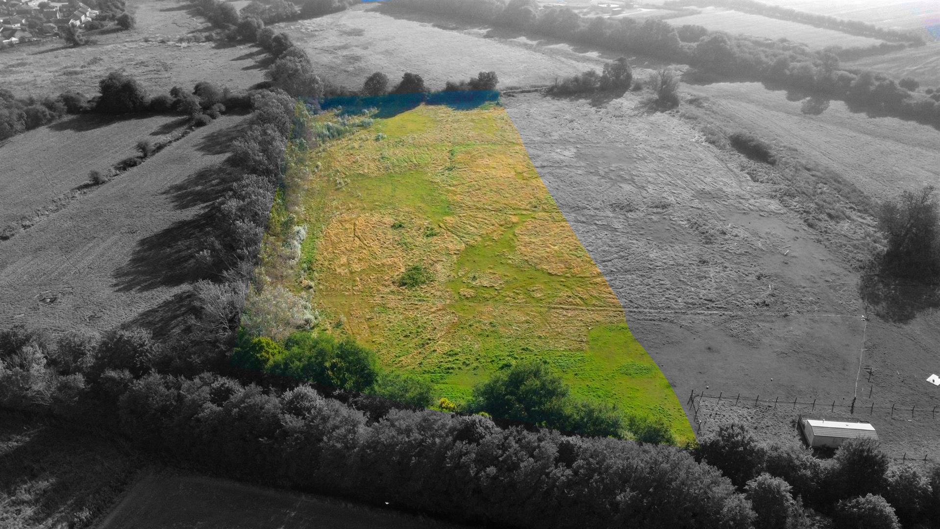 Ellis Winters - residential sales, lettings and property management.